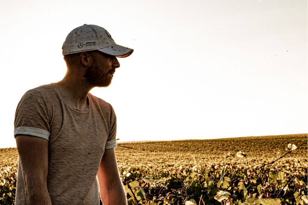 Benjamin Muller, enraciné dans la coopération | Champagne de Vignerons