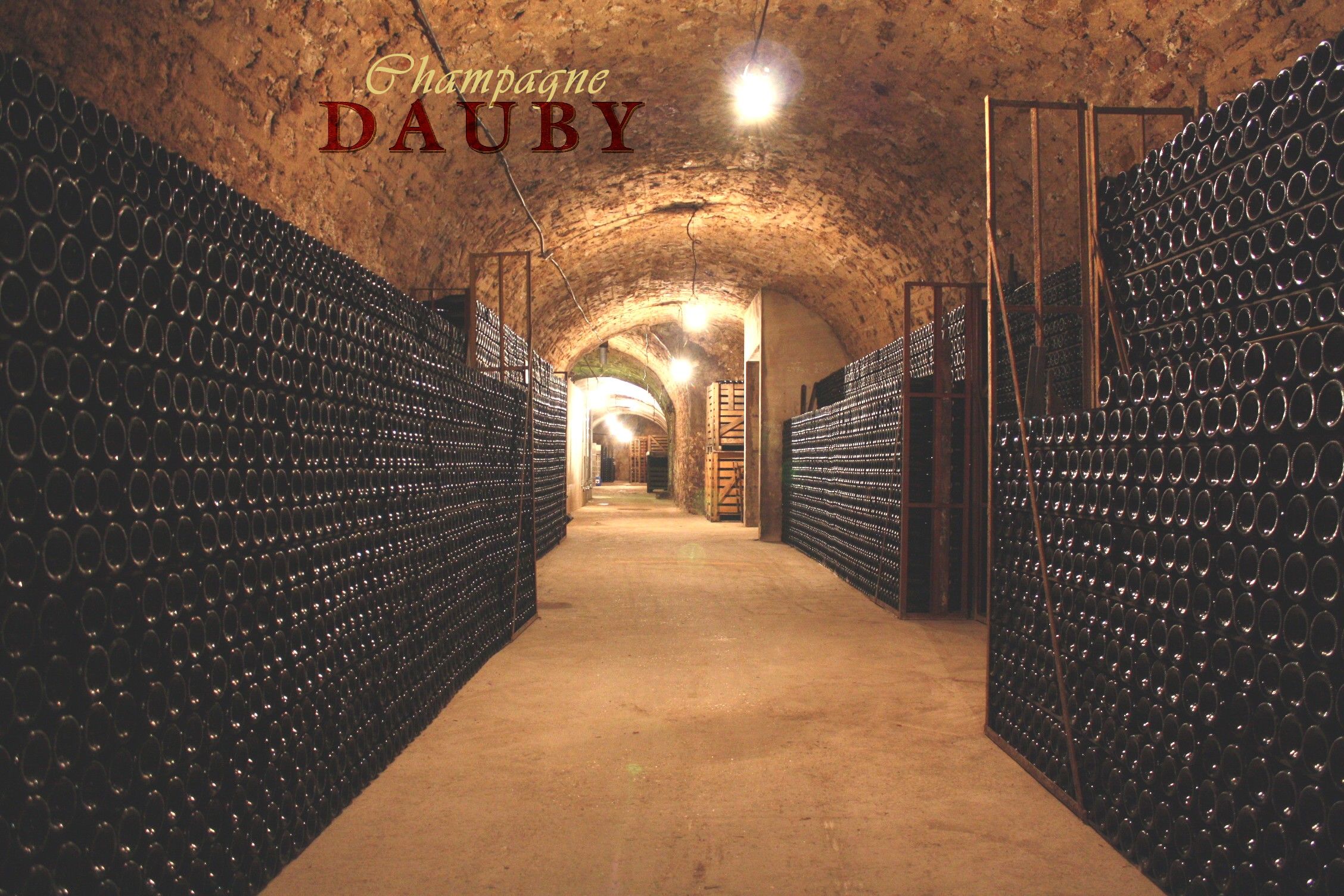 Champagne DAUBY | Champagne de Vignerons