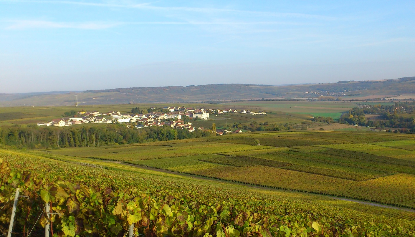 Champagne VAN GYSEL - LIEBART | Champagne de Vignerons